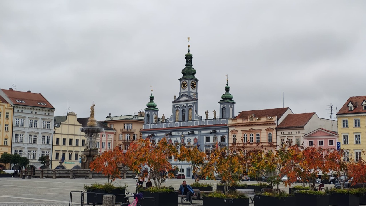 BRANIŠOVSKÝ LES :: CA Engeltour - VÝLETY PRO RADOST